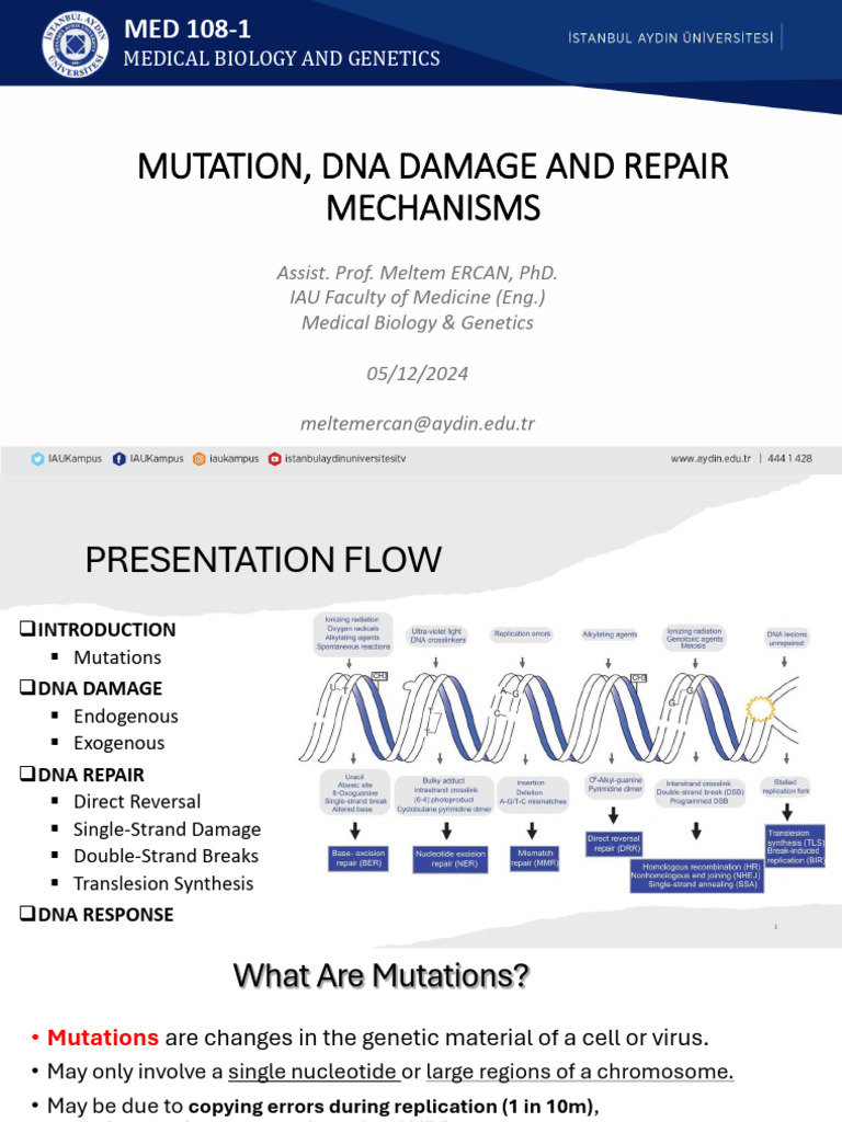 5 Lecture Mutations DNA Damage and Repair Mechanisms 2 | PDF | Dna Repair | Mutation