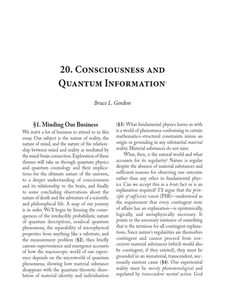 Consciousness and Quantum Information | PDF | Quantum Mechanics | Reality