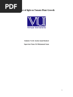 Sunlight's Impact on Plant Growth | PDF | Experiment | Botany
