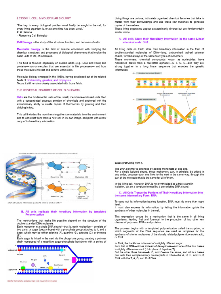 LESSON 1 REVIEWER | PDF | Dna | Rna