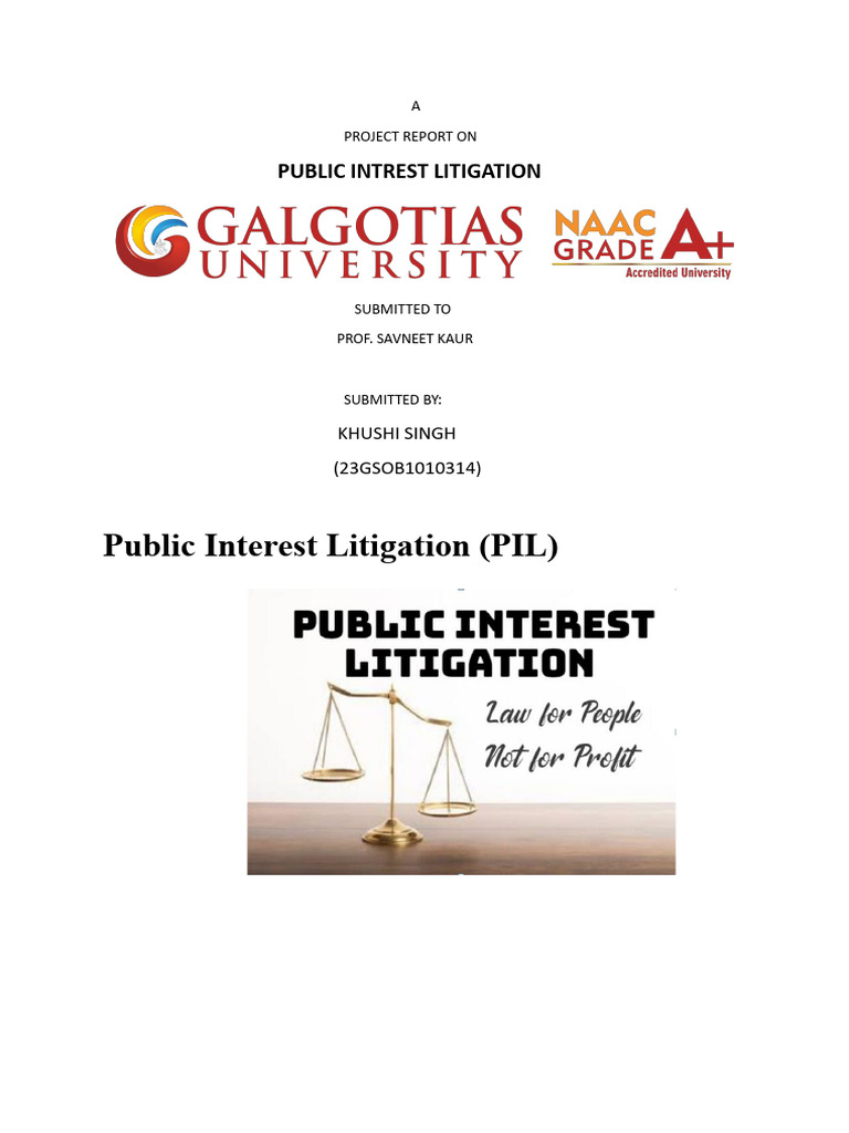 Public Interest Litigation in India Explained | PDF | Governance ...