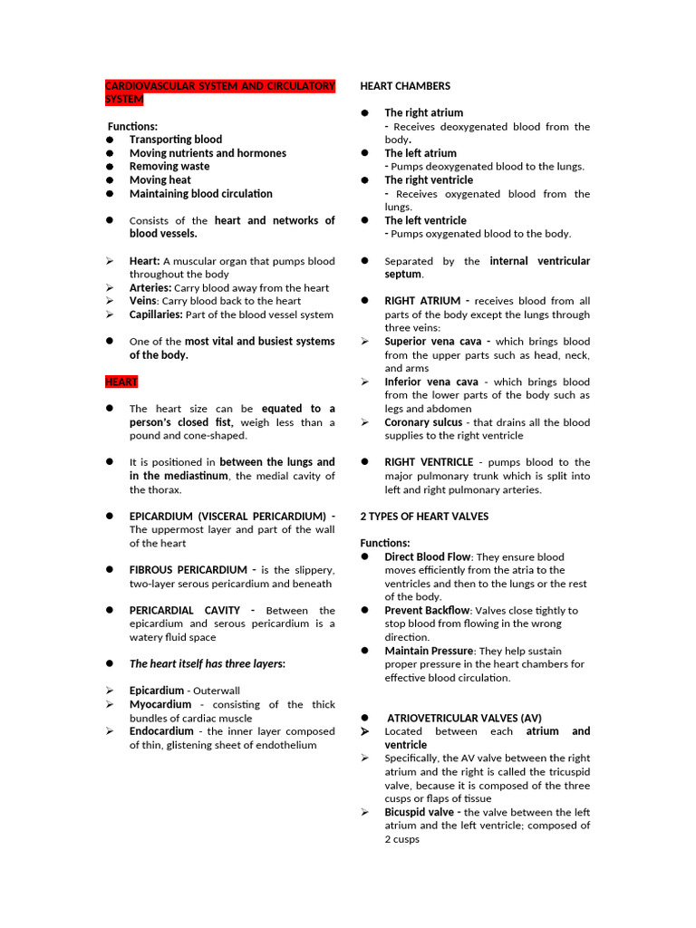 Cardiovascular System and Circulatory System | PDF | Heart Valve | Heart
