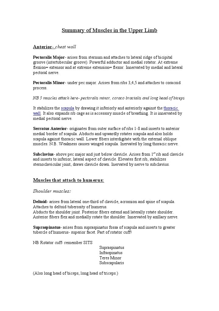 Summary of Muscles in The Shoulder | PDF | Shoulder | Elbow