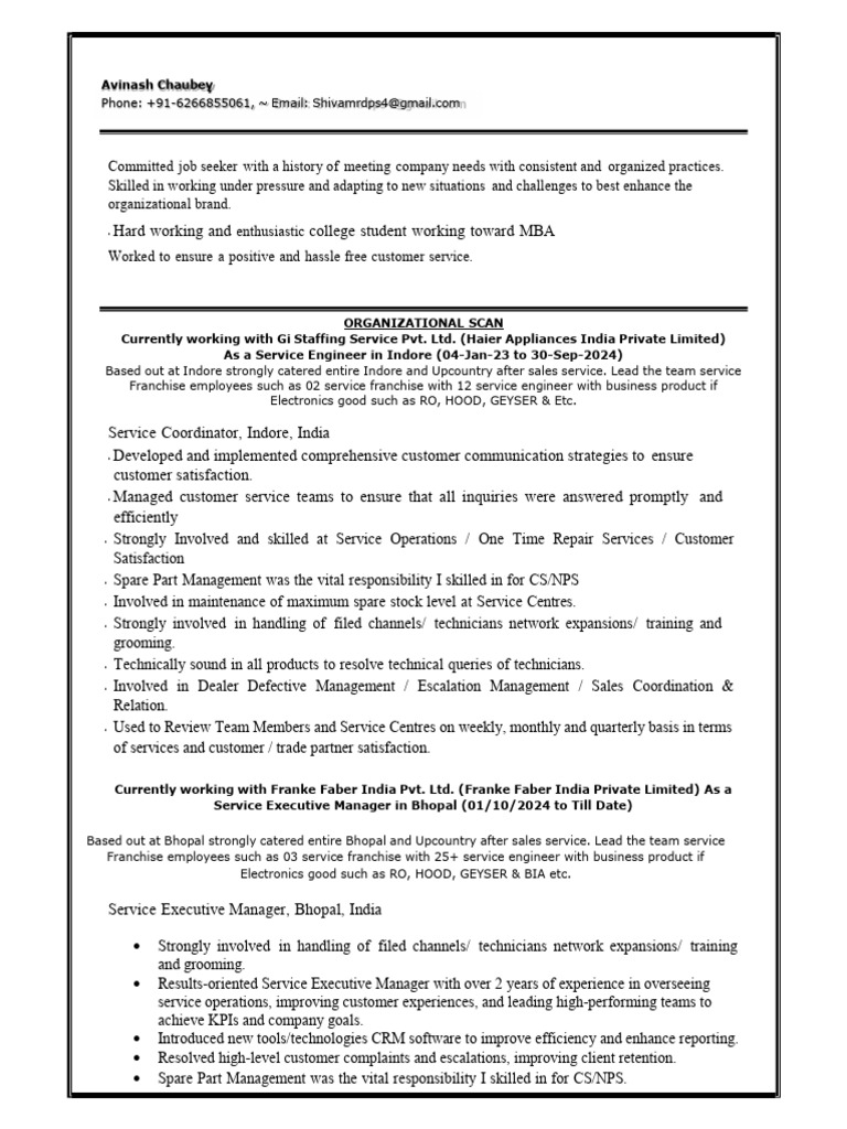 Cv Avinash Chaubey | PDF | Business | Computing