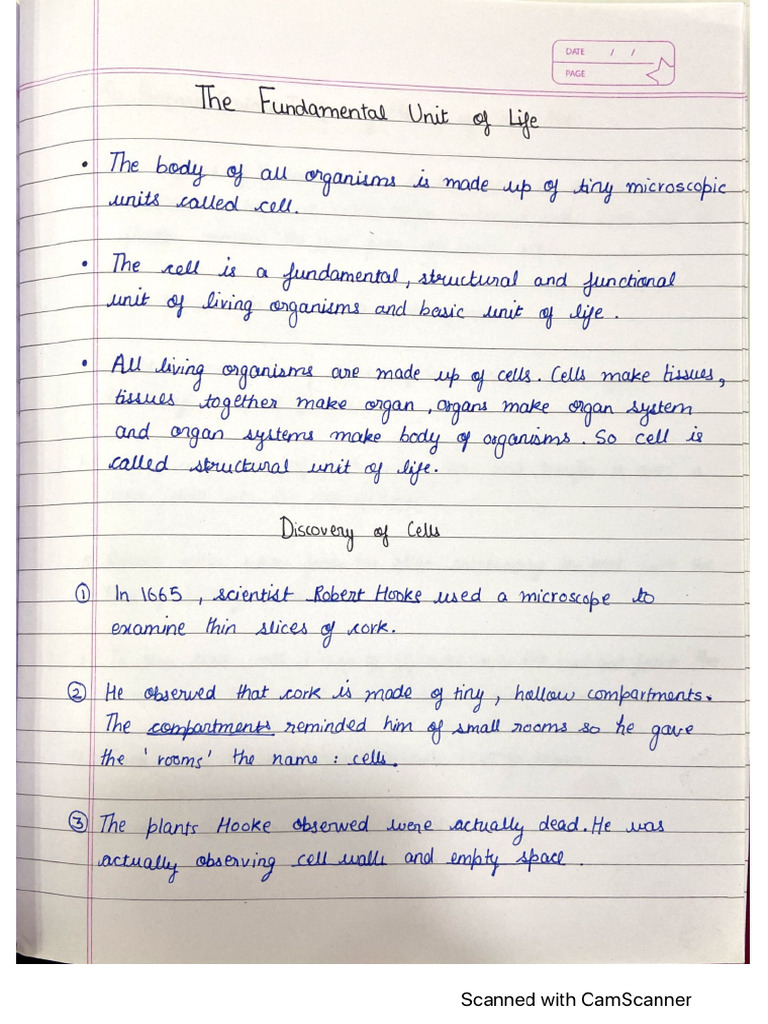 Bio Worksheet 2 | PDF