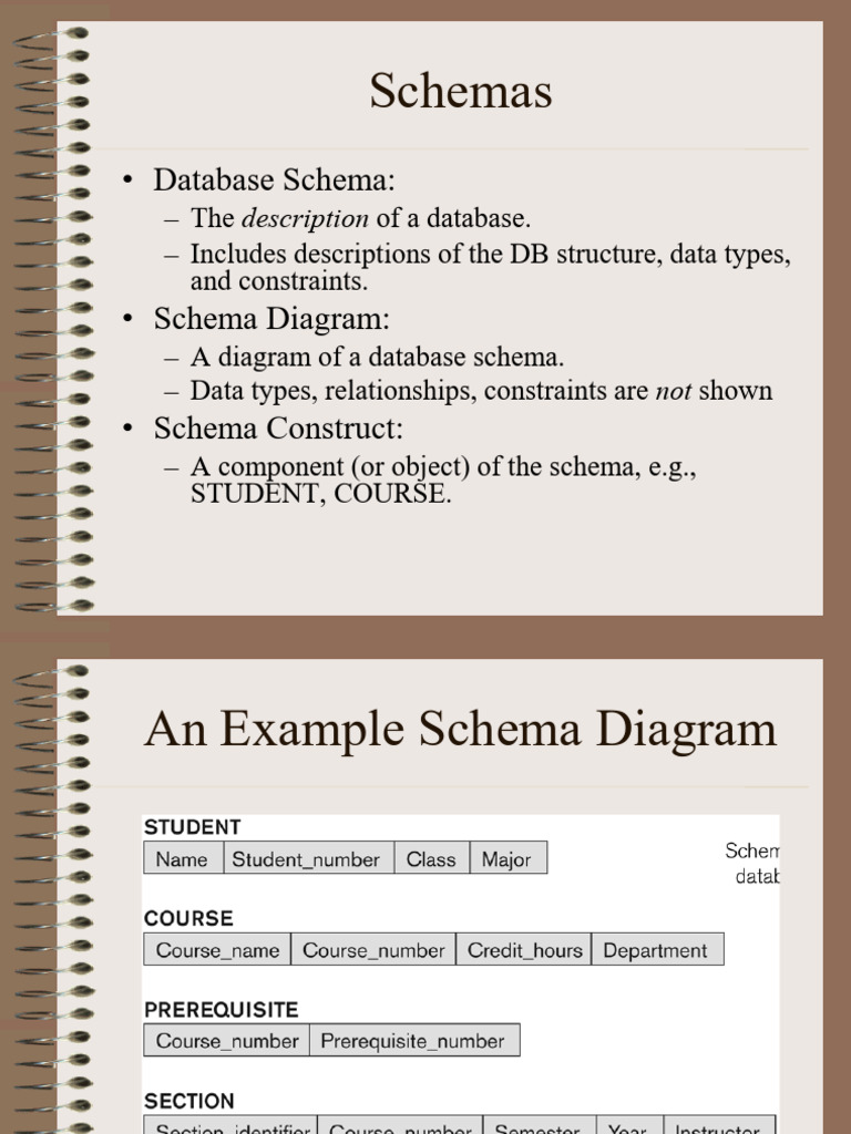 DBS SCHEMA | PDF