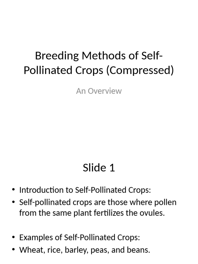 Breeding Methods Self Pollinated Crops Compressed | PDF
