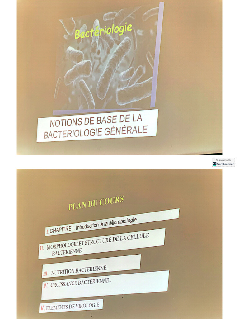 Cours (1) Bactériologie | PDF
