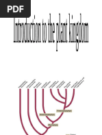 Overview of Plant Phyla and Divisions | PDF | Plants | Organisms