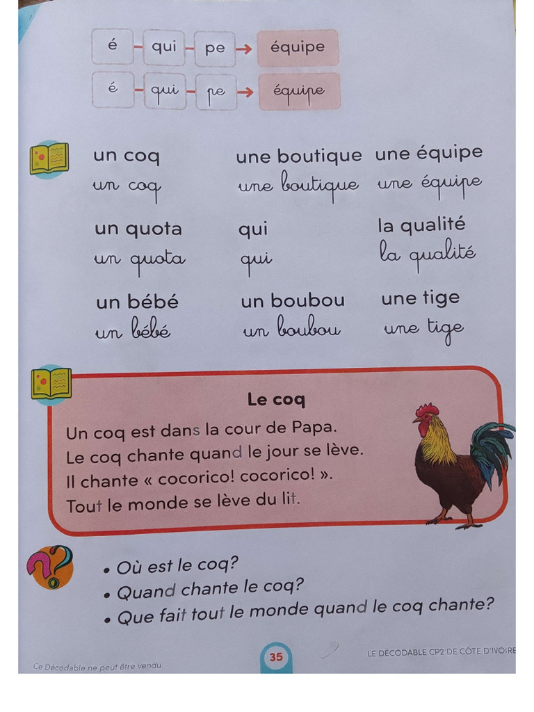 ACE Scanner_2025_01_26(7) | PDF