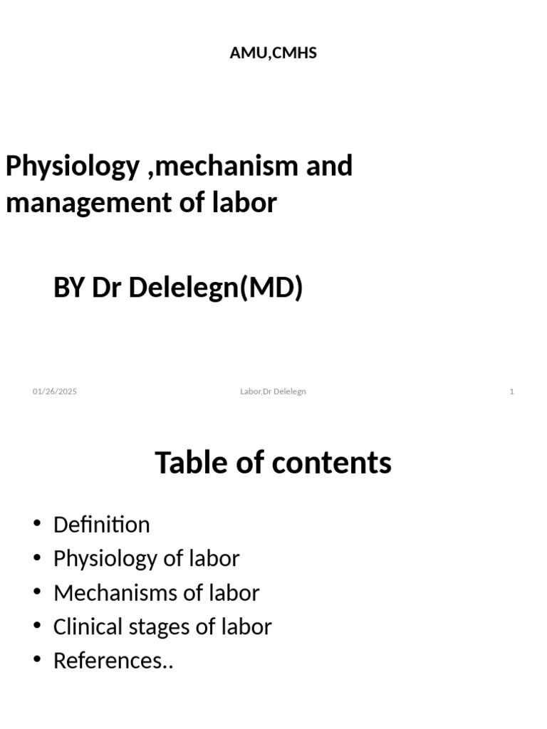 lbr | PDF | Childbirth | Pelvis