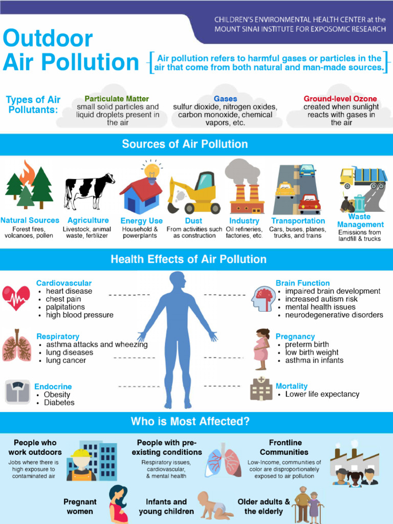 Outdoor Air Pollution 508 | PDF | Air Pollution | Particulates