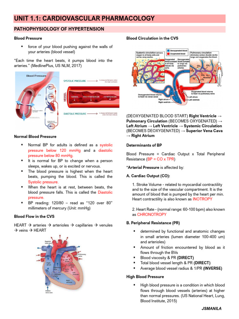 Hypertension Pathophysiology Overview | PDF | Hypertension | Angiotensin