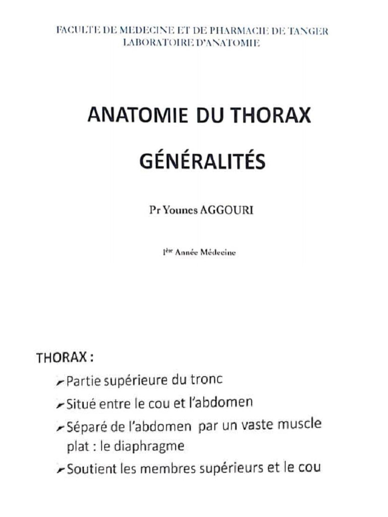 Thorax | PDF