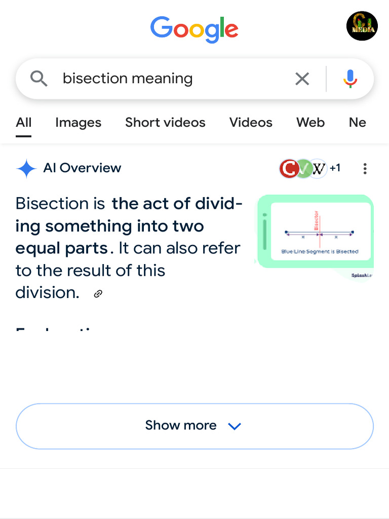 Bisection Meaning - Google Search | PDF | Mathematics