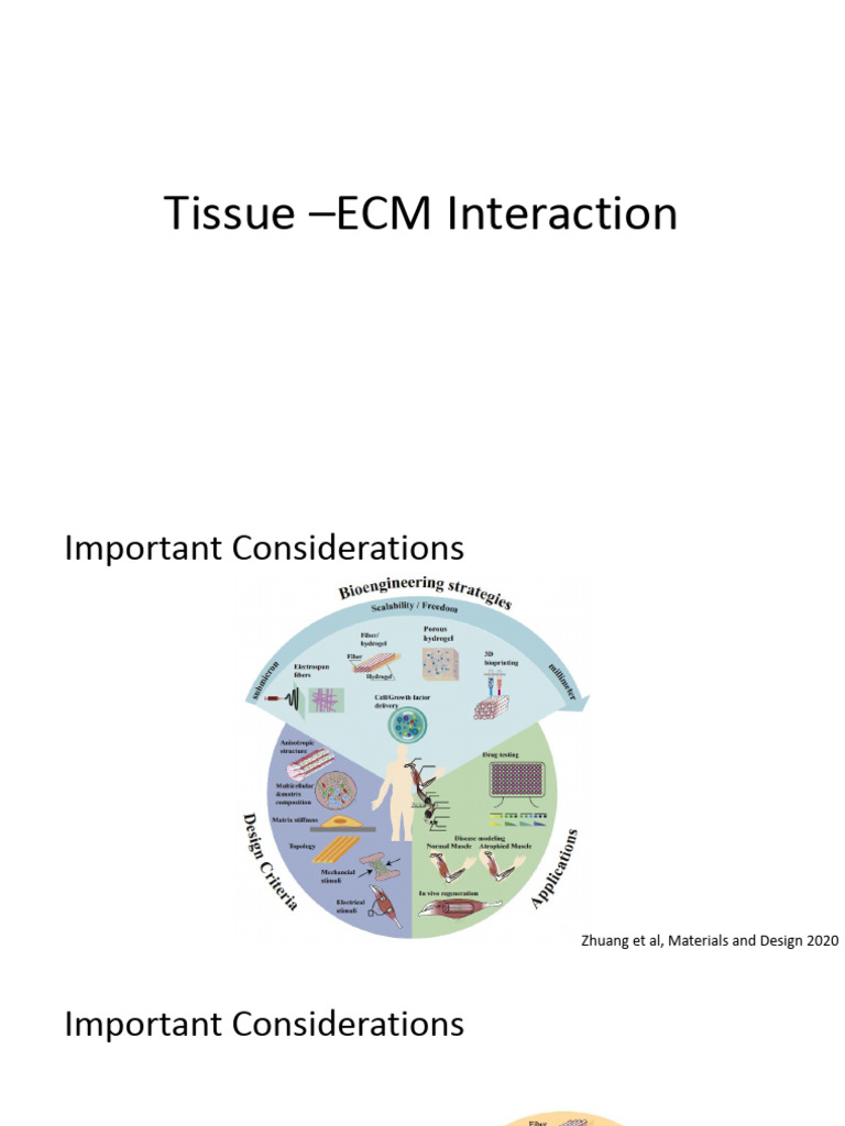 Tissue - ECM Interaction | PDF | Extracellular Matrix | Integrin