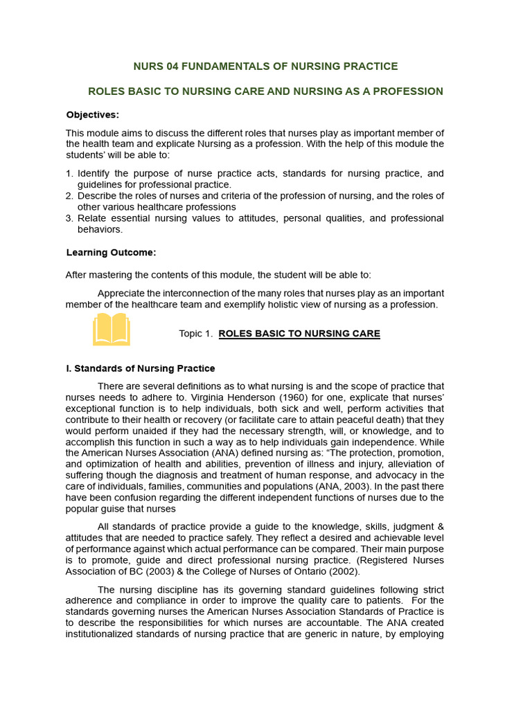 Fundamental Nursing Roles Explained | PDF | Nursing | Health Care