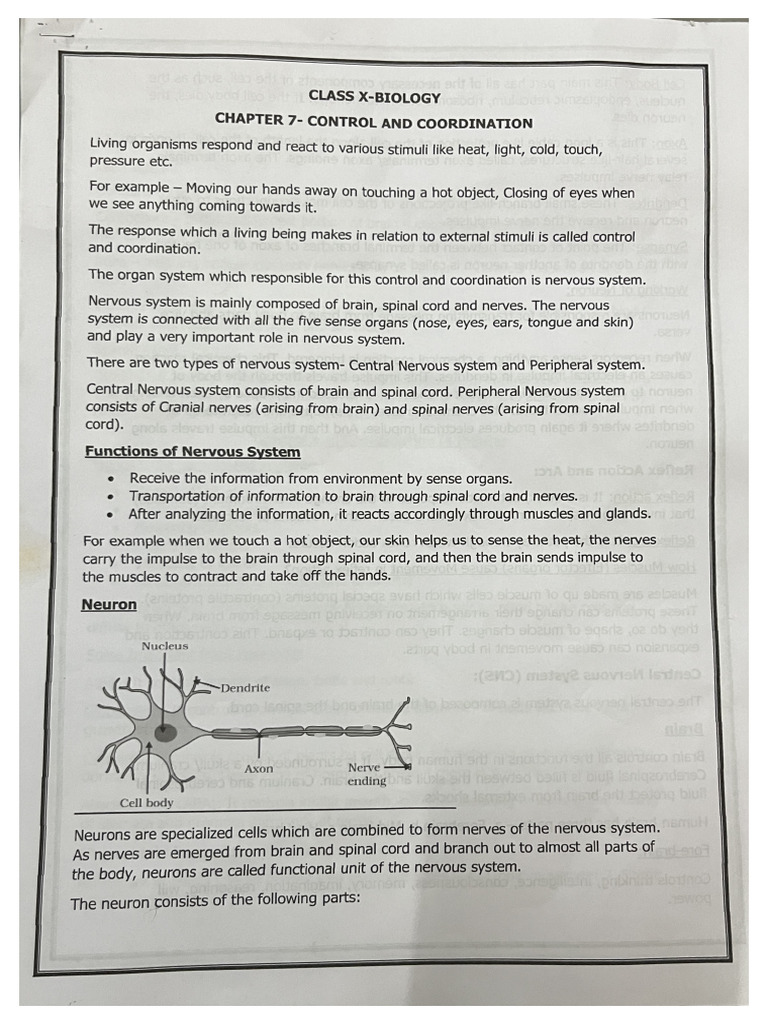 Biology Class 10 T H | PDF