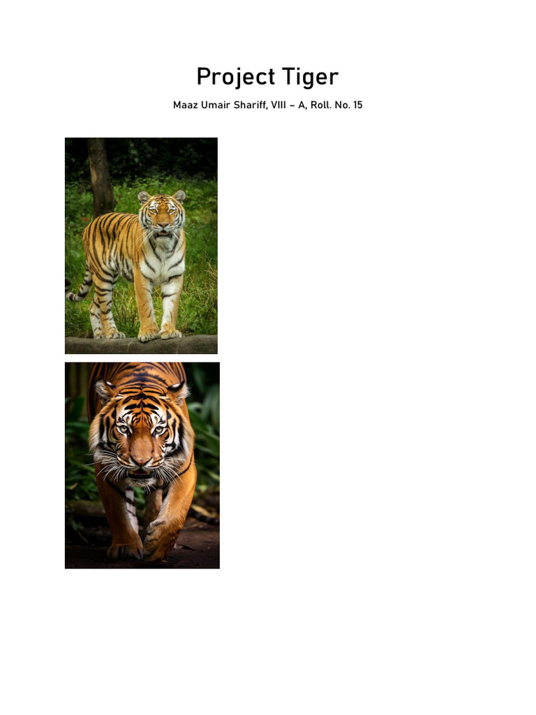 Project Tiger | PDF
