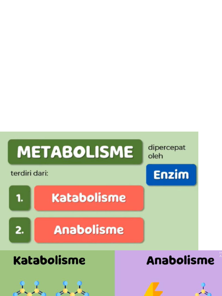 Metabolisme 2 Katabolisme | PDF