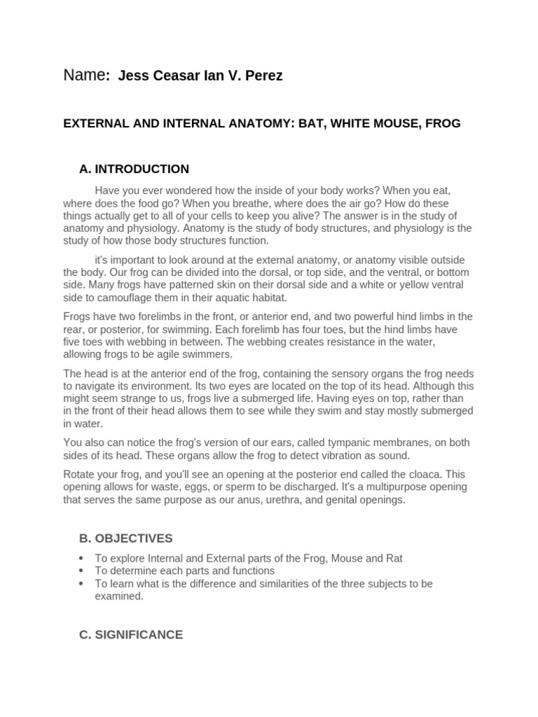 ANATOMY OF RATS,MOUSE,BAT | PDF | Human Body | Abdomen