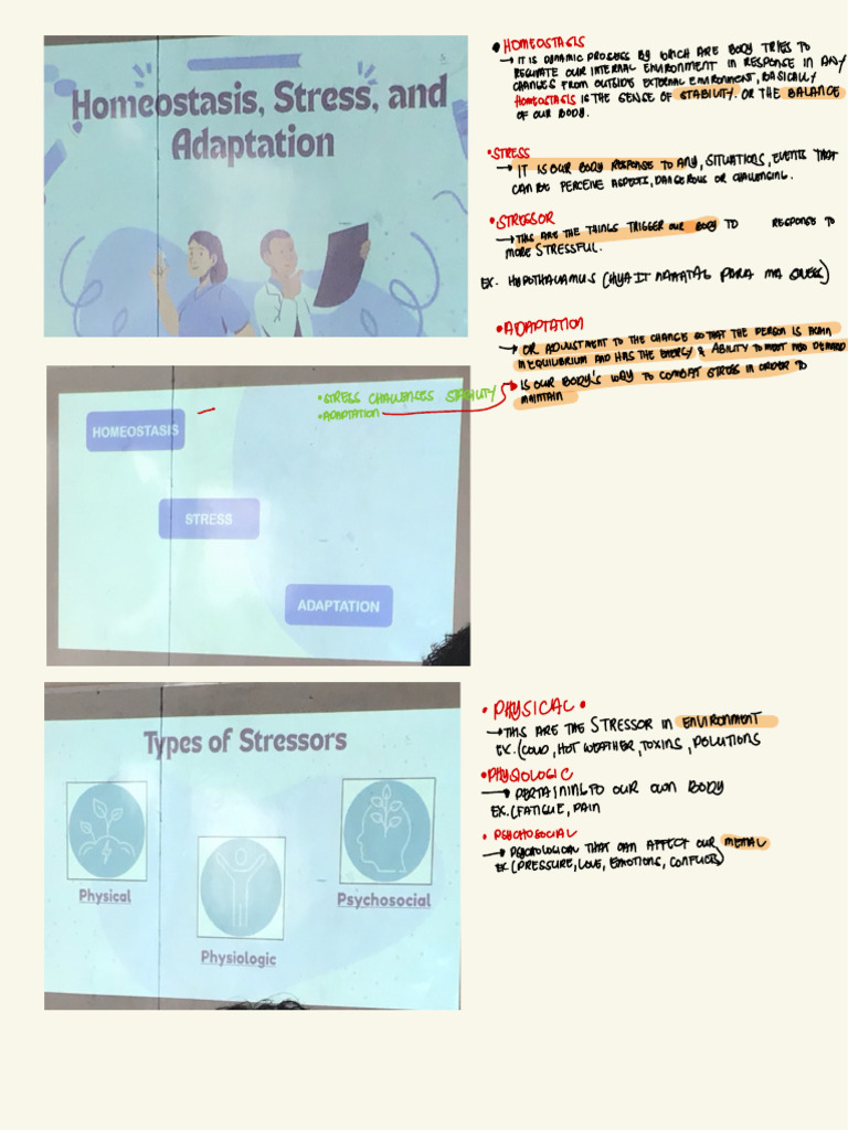 Homeostasis | PDF | Stress (Biology) | Inflammation