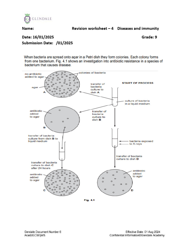 Revision Worksheet - 4 Diseases and Immunity | PDF
