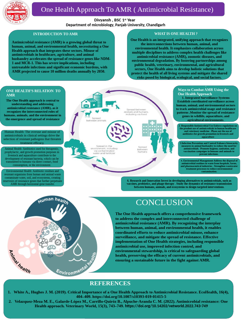 One Health Strategy for Antimicrobial Resistance | PDF | Antimicrobial ...