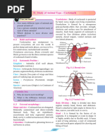 Morphology and Anatomy of Cockroach | PDF | Anatomy | Animal Anatomy