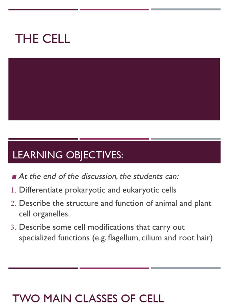 Understanding Cell Types and Structures | PDF | Endoplasmic Reticulum ...