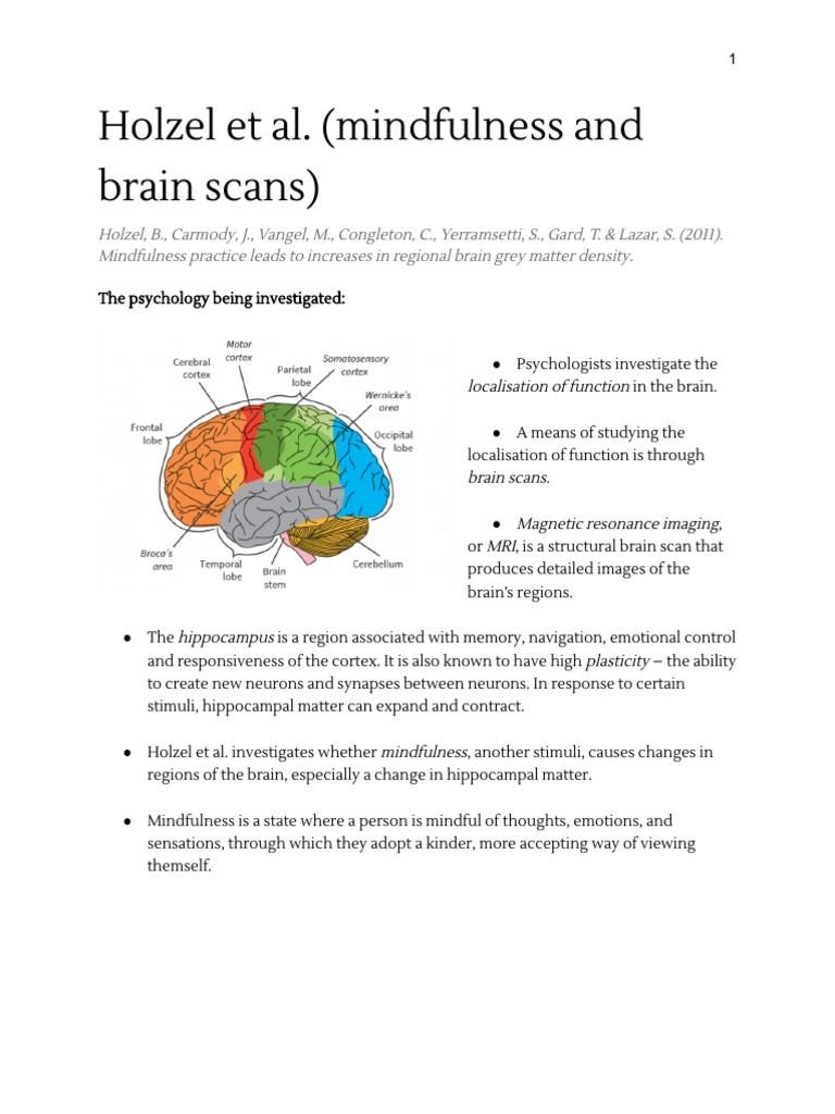 Holzel Et Al. (Mindfulness and Brain Scans) (1) | PDF | Mindfulness | Brain