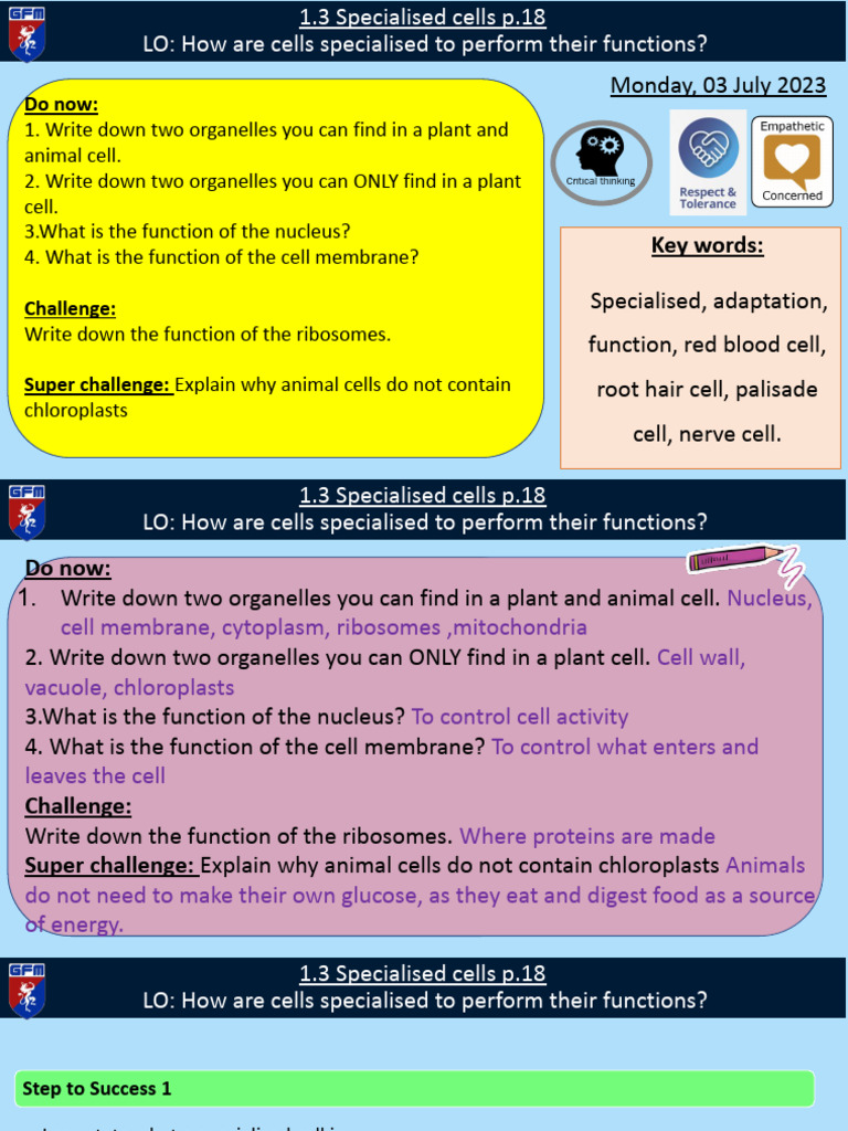 Specialised Cells and Their Functions | PDF | Cell (Biology) | Chloroplast