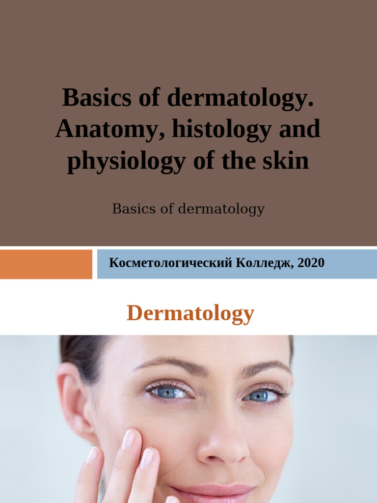 Skin Anatomy and Water Retention Basics | PDF | Skin | Organ (Anatomy)