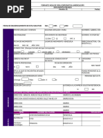 Formato Guia de Solicitud y Llenado Formulario Irtra | PDF