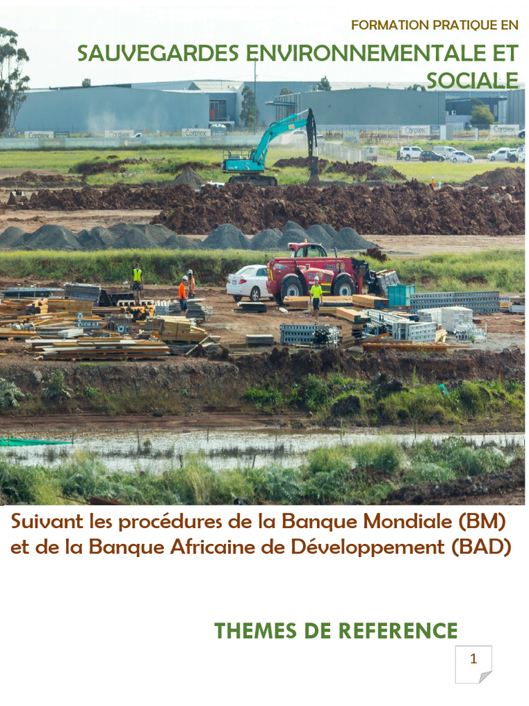 TDR_SES - Bangui_Centrafrique VF BPE | PDF | Environnement naturel | Développement durable