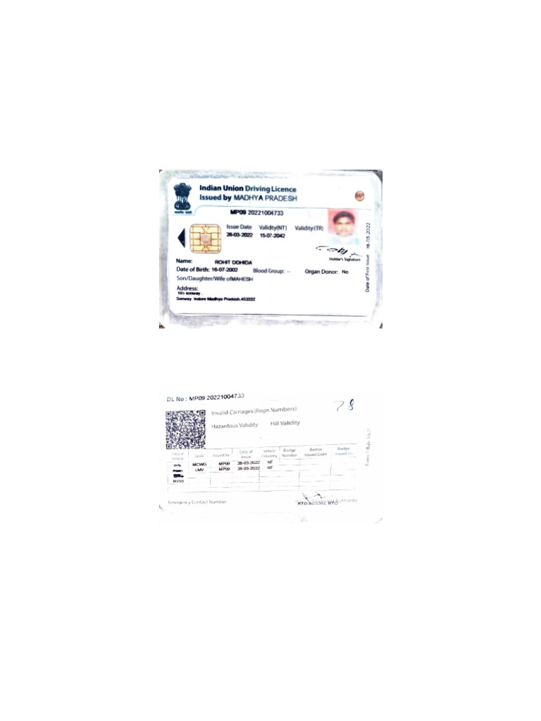 Driving Licence | PDF