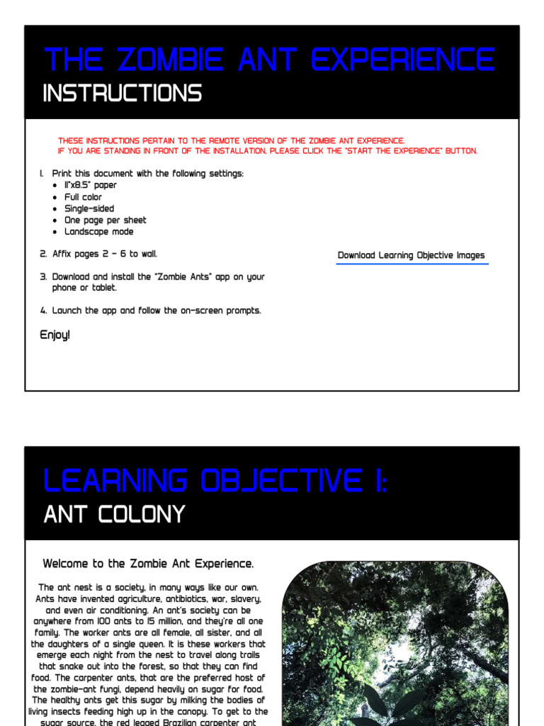 zombie ant | PDF | Fungus | Ant
