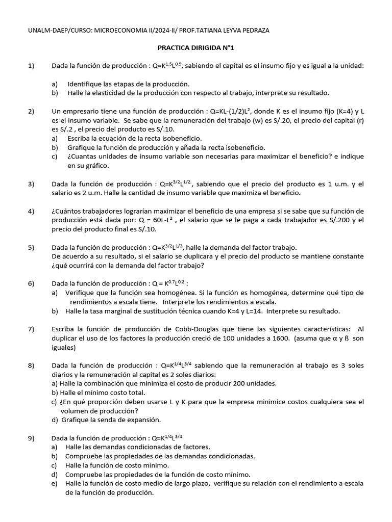Prac Dir 1 Micro II | PDF | Función de producción | Economias
