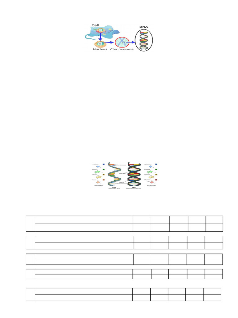 DNA and RNA Study Guide | PDF