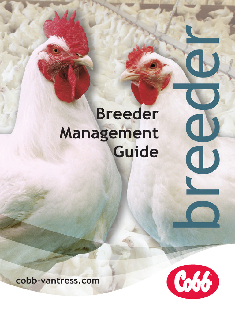 Cobb 500 Breeder Managment Guide | PDF | Beak | Chicken