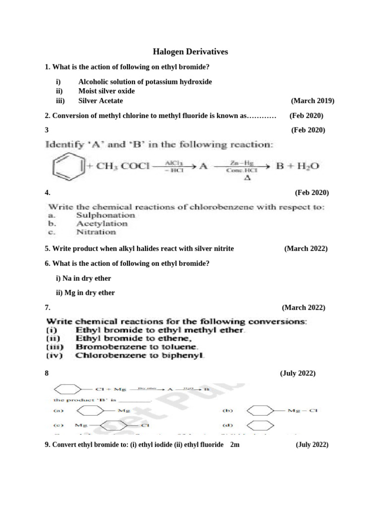 Assignment No 4 Halogen Derivatives. | PDF