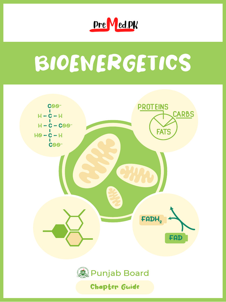 Bioenergetics MDCATIAN | PDF | Cellular Respiration | Adenosine ... Bioenergetics MDCATIAN | PDF | Cellular Respiration | Adenosine ...