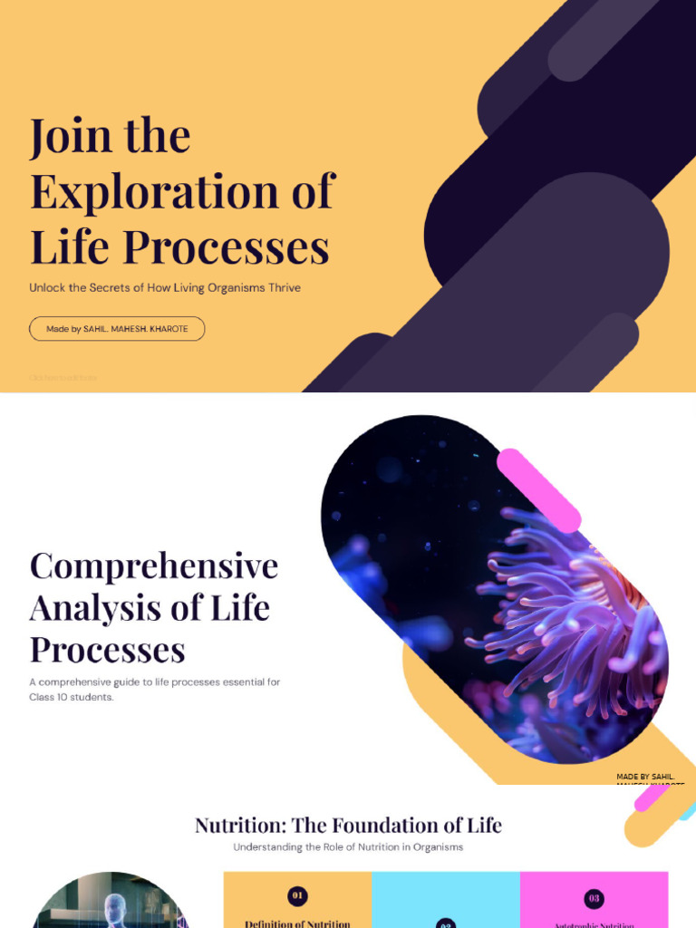 Presentation 1 | PDF