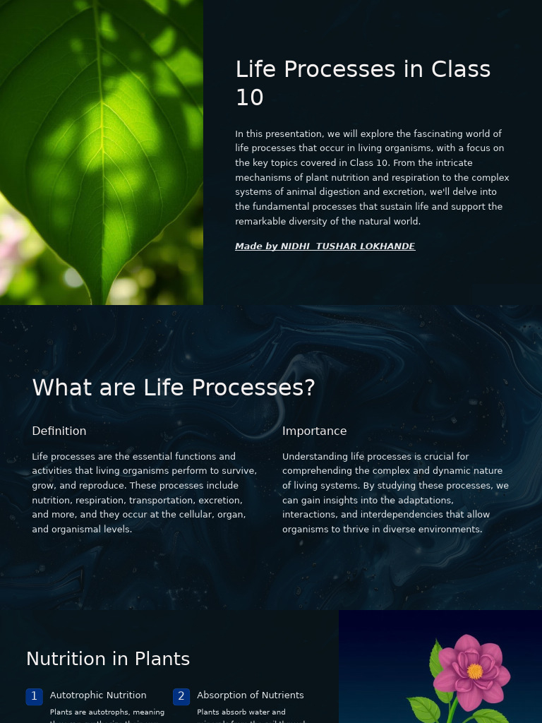 Life Processes Overview for Class 10 | PDF | Cellular Respiration ...