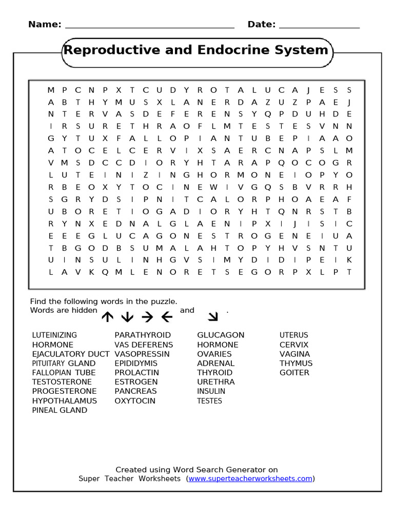 Super Teacher Worksheets Reproductive and Endocrine System | PDF ...