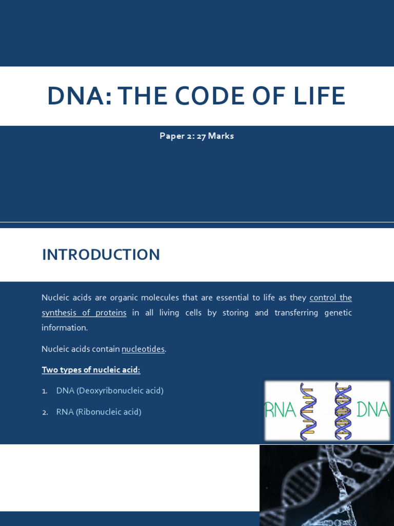 DNA The Code of Life Final | PDF | Translation (Biology) | Dna