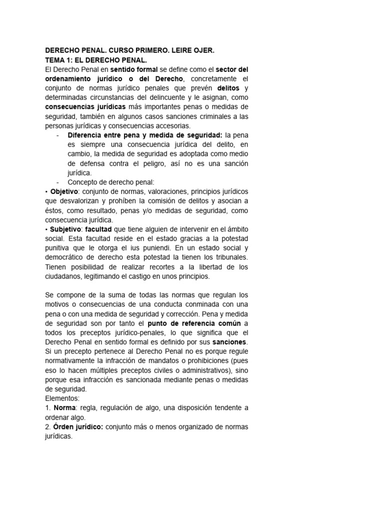DERECHO PENAL | PDF | Derecho penal | Castigos