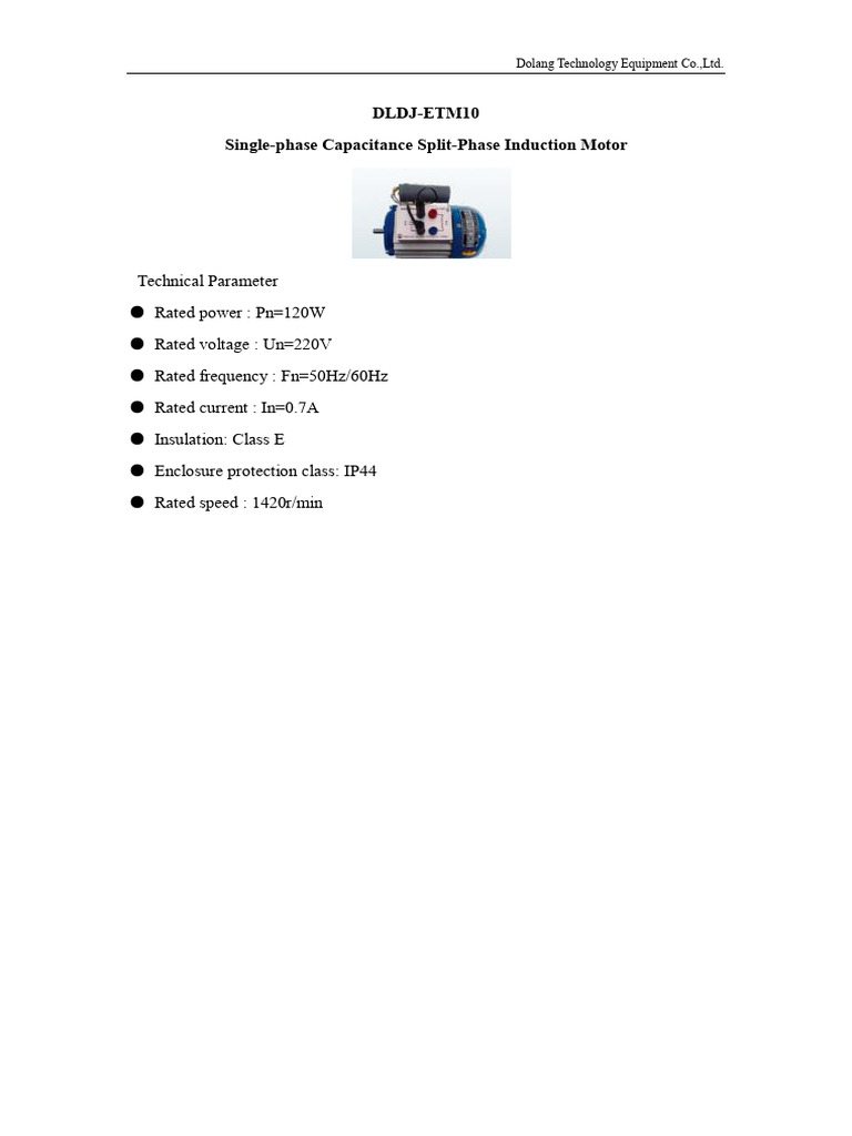 DLDJ-ETM10 Single-Phase Capacitance Split-Phase Induction Motor | PDF