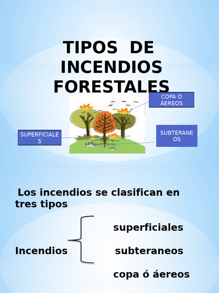 Tipos de Incendios Forestales | PDF | Fuego fatuo | Incendios