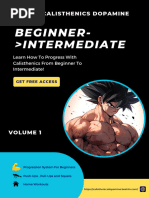 Calisthenics PPL | PDF